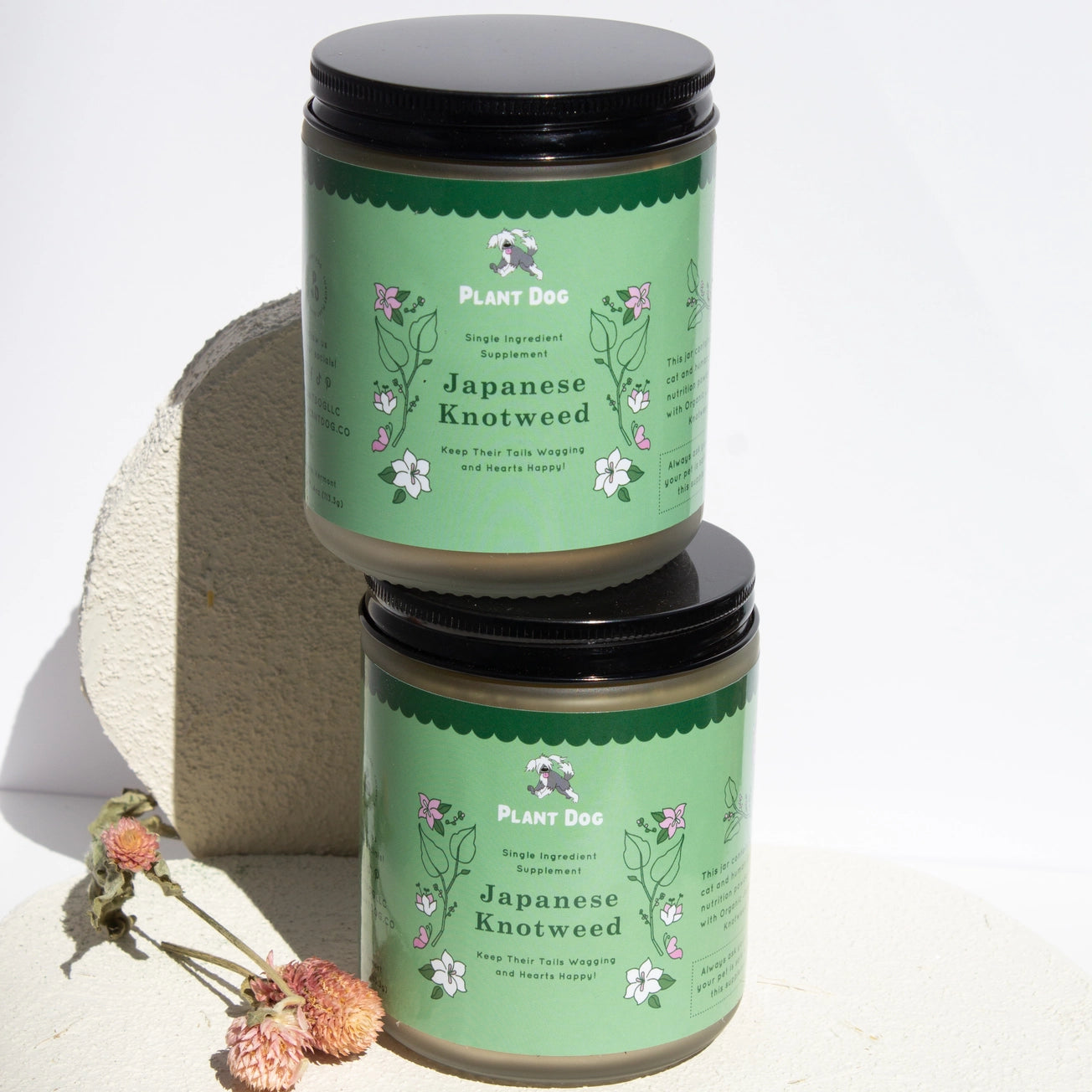 Japanese Knotweed Powder – Maxx & Fluffy's